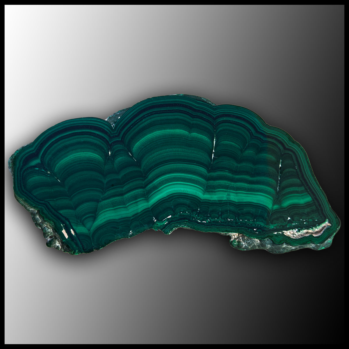 MAL210 Malachite Slab| The Gem Shop, Inc.