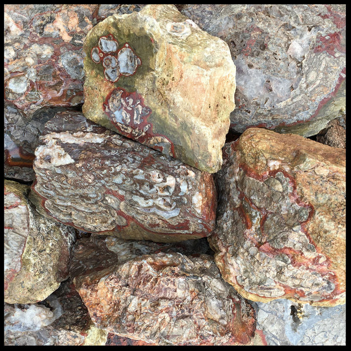 Mushroom Rhyolite, Rough Rock, per lb| The Gem Shop, Inc.