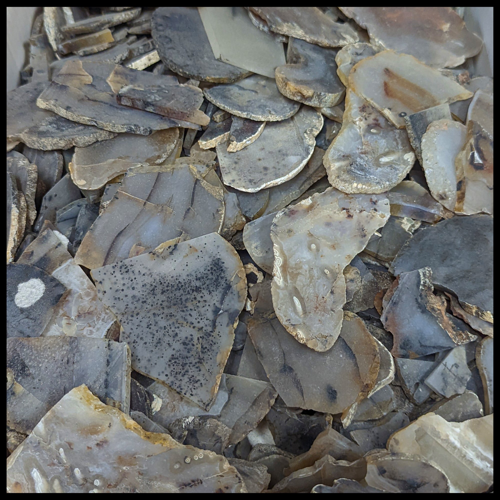 Montana Moss Agate Slabs - 1 lb lot| The Gem Shop, Inc.