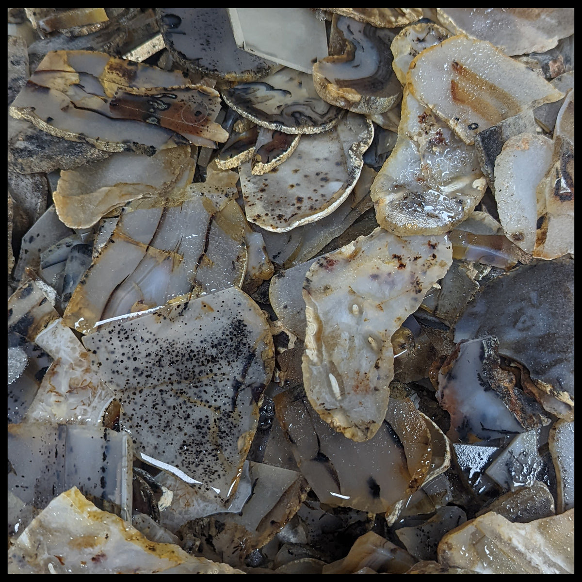 Montana Moss Agate Slabs - 1 lb lot| The Gem Shop, Inc.