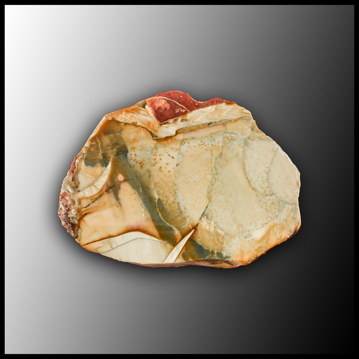 WIC153 Willow Creek Jasper Specimen| The Gem Shop, Inc.